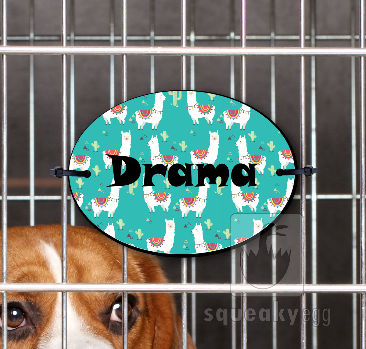 Drama – Squeaky Egg Shop