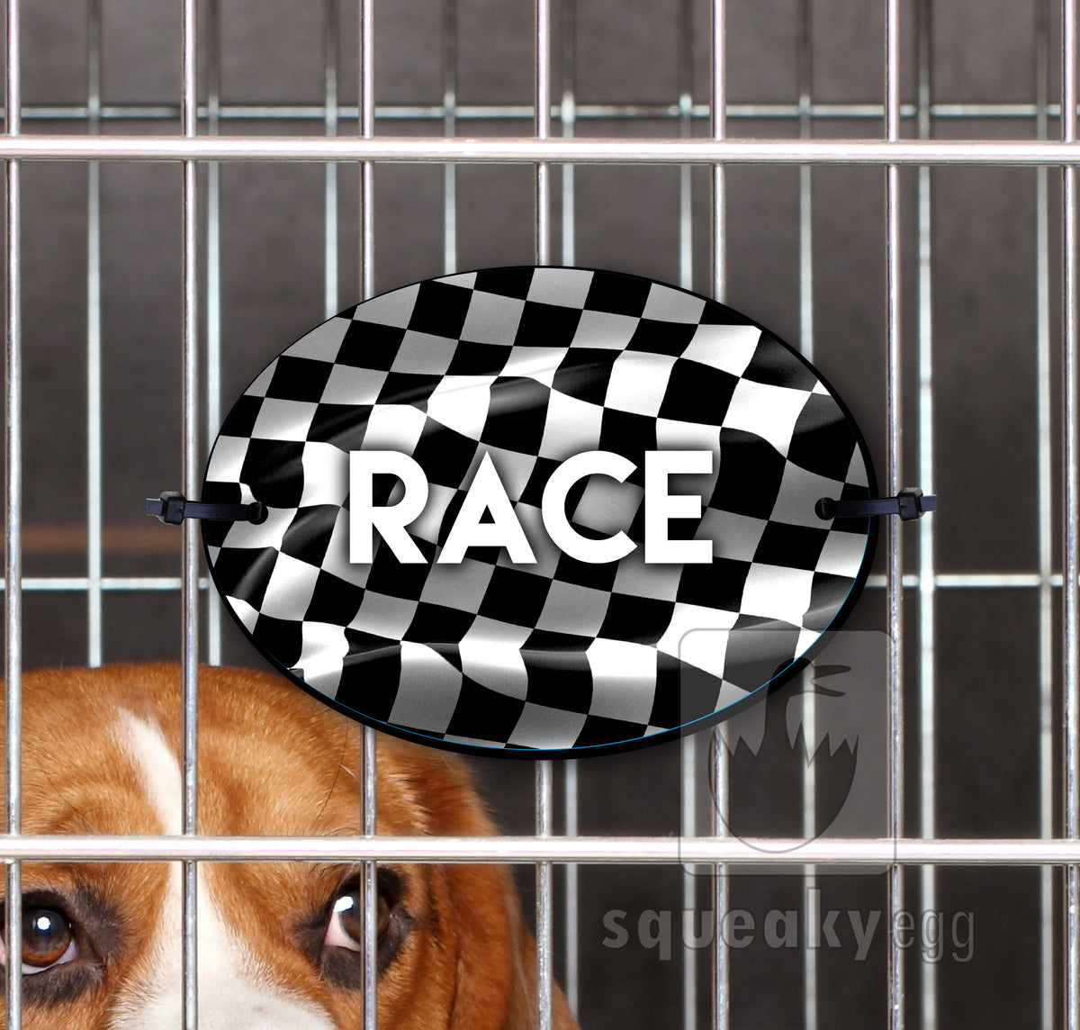 Race – Squeaky Egg Shop