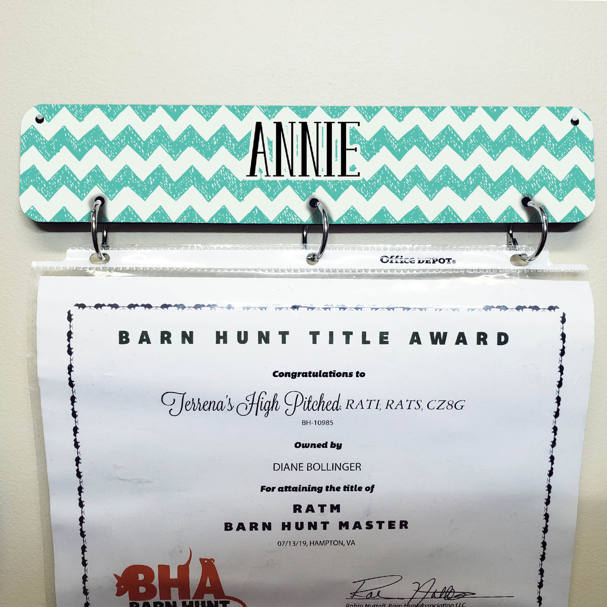 Annie - Certificate Display – Squeaky Egg Shop