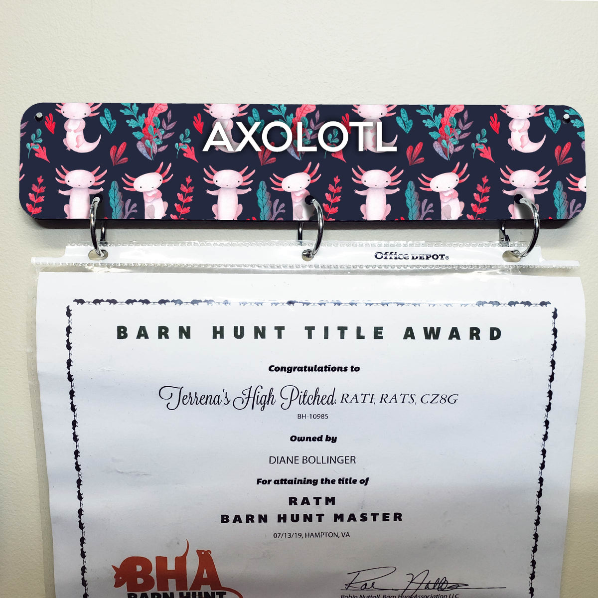 Axolotl - Certificate Display – Squeaky Egg Shop