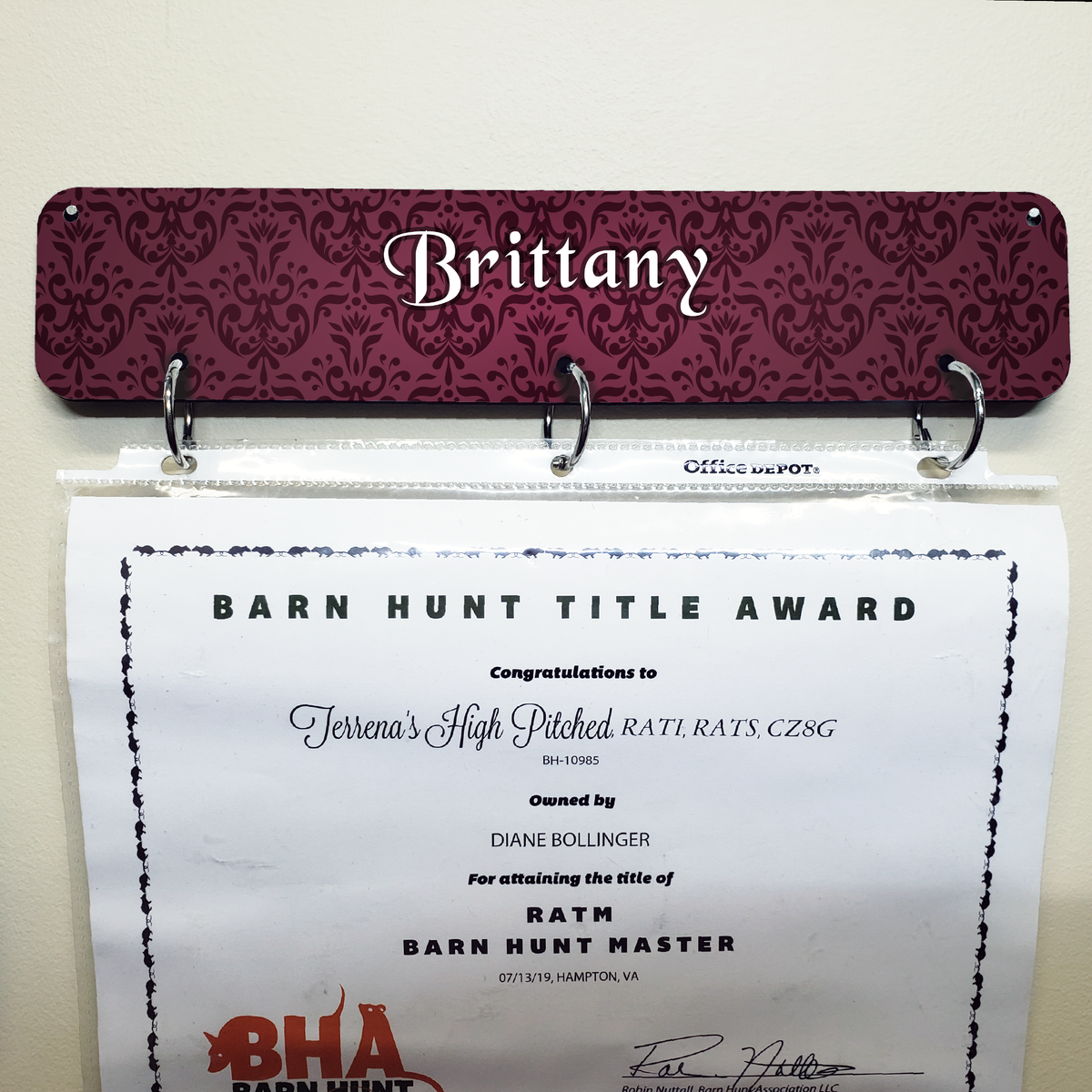 Brittany - Certificate Display – Squeaky Egg Shop