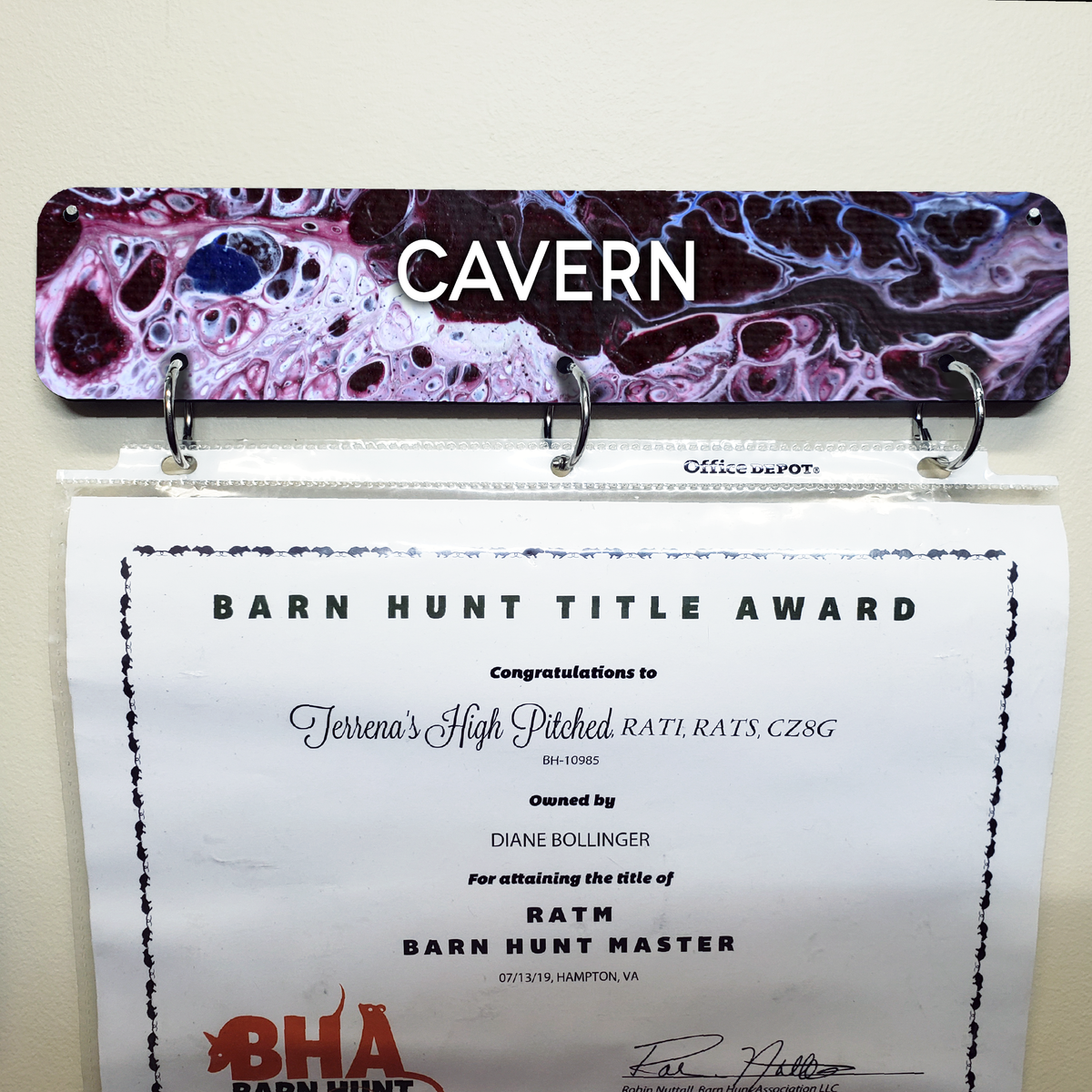 Cavern - Certificate Display – Squeaky Egg Shop