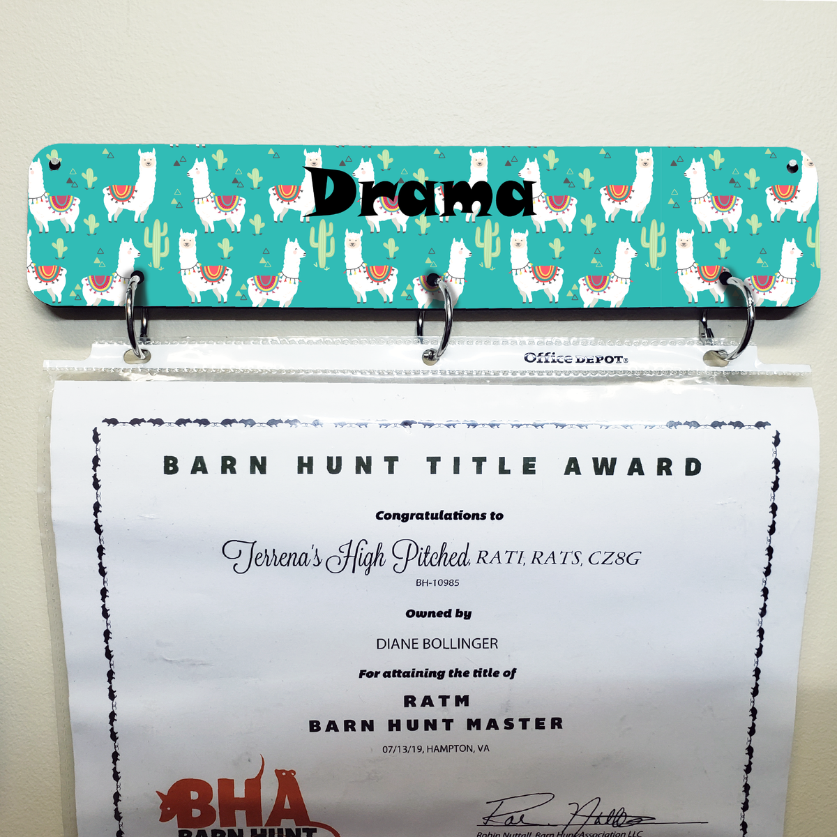 Drama - Certificate Display – Squeaky Egg Shop