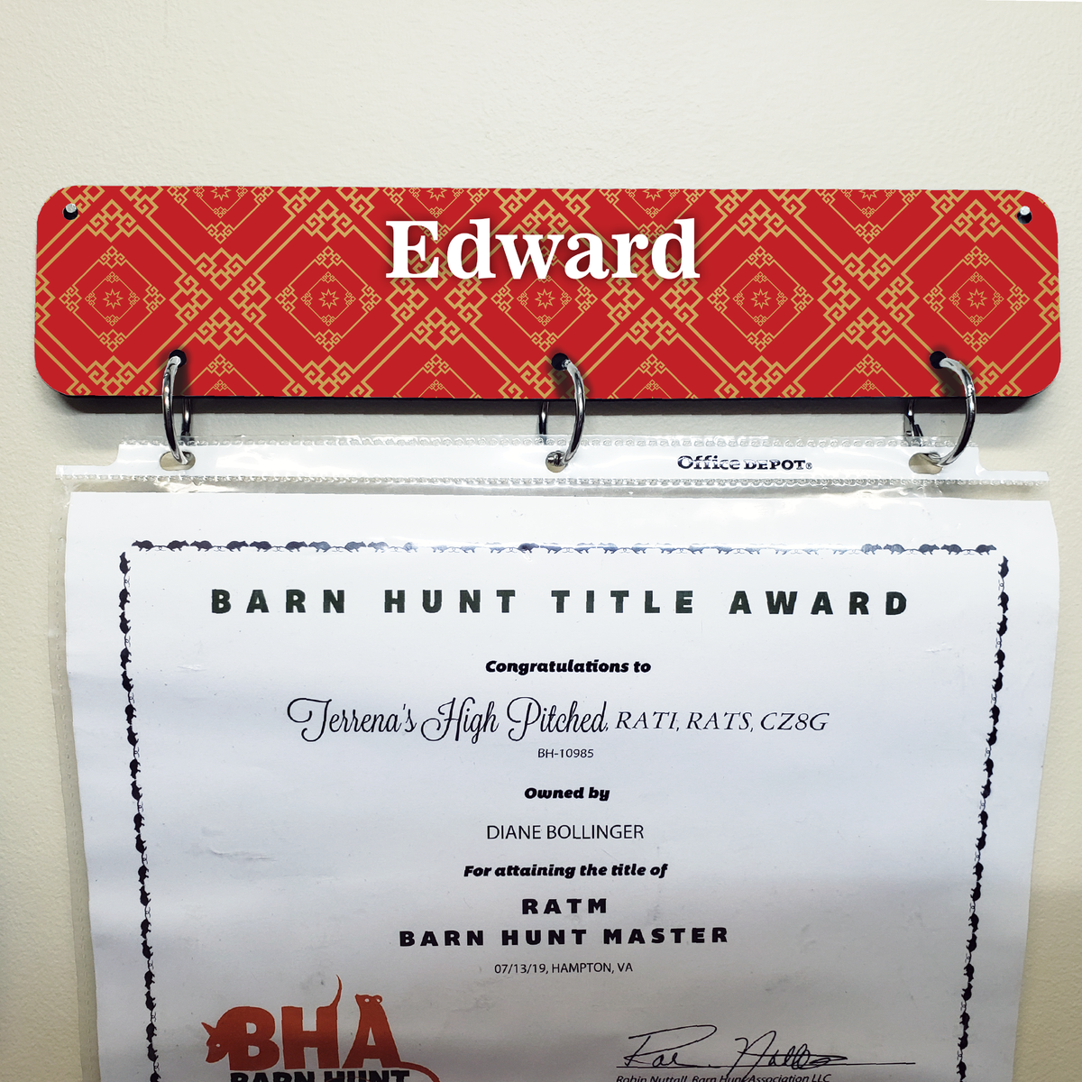 Edward - Certificate Display – Squeaky Egg Shop
