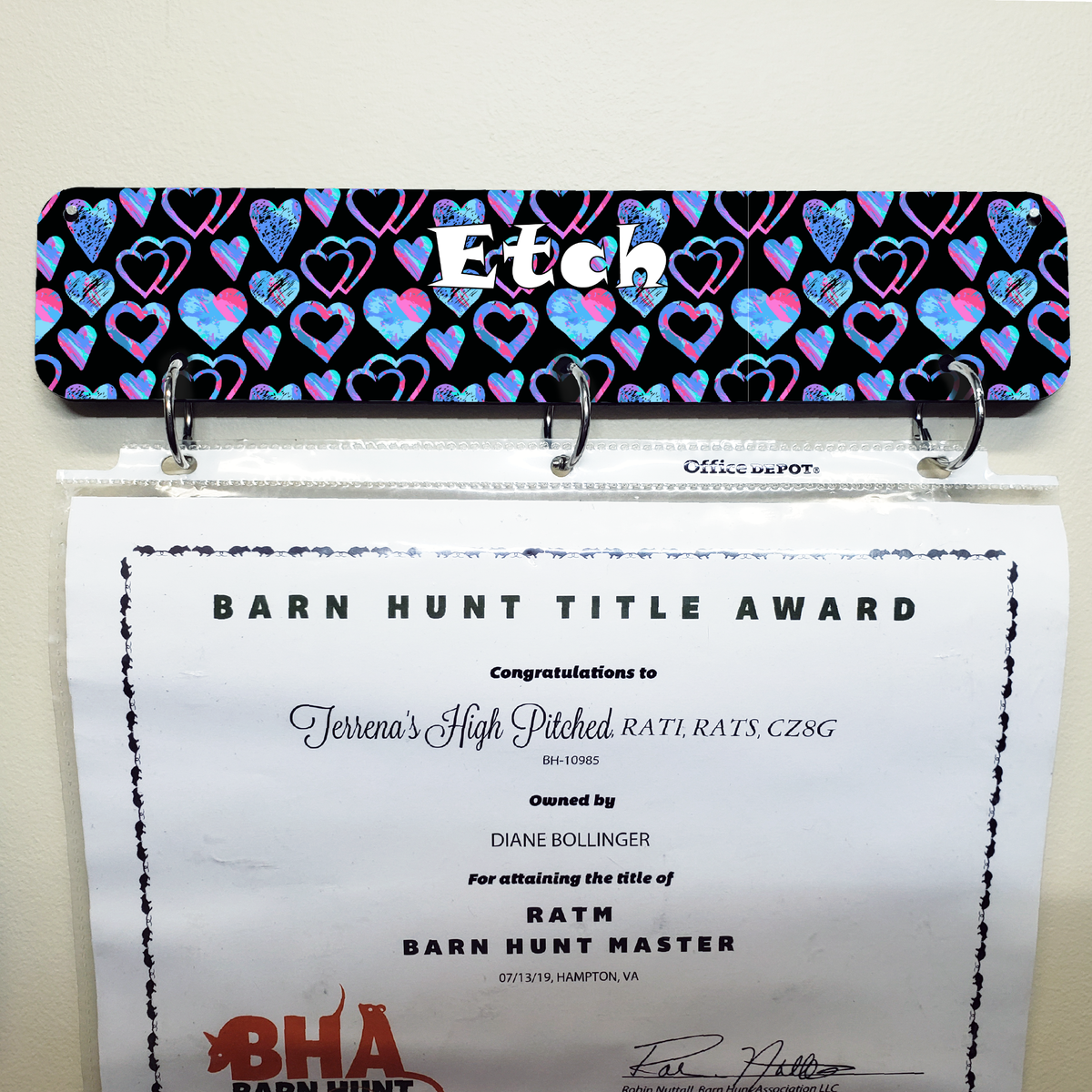 Etch - Certificate Display – Squeaky Egg Shop