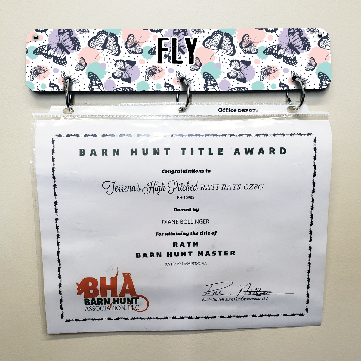 Fly - Certificate Display – Squeaky Egg Shop