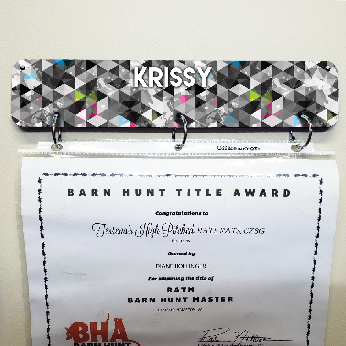 Krissy - Certificate Display – Squeaky Egg Shop