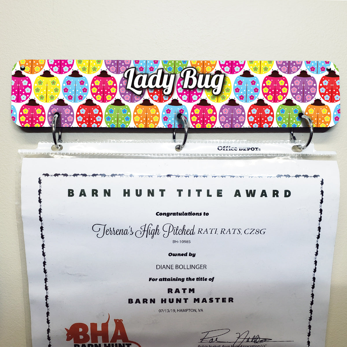 Lady Bug - Certificate Display – Squeaky Egg Shop