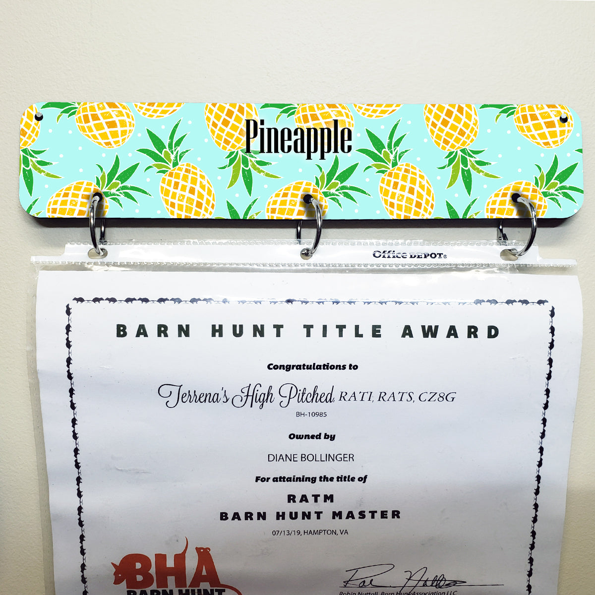 Pineapple - Certificate Display – Squeaky Egg Shop