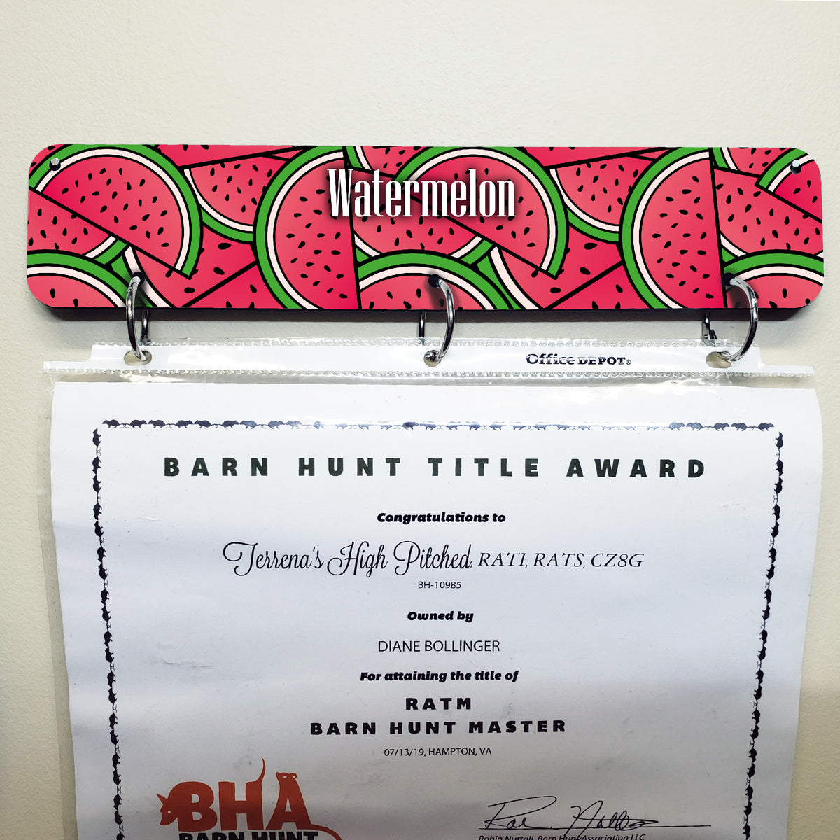 Watermelon - Certificate Display – Squeaky Egg Shop