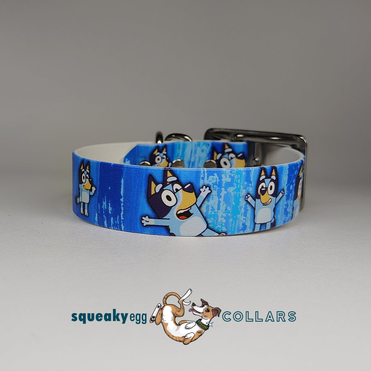 Bluey - Printed Biothane® Buckle Collar – Squeaky Egg Shop