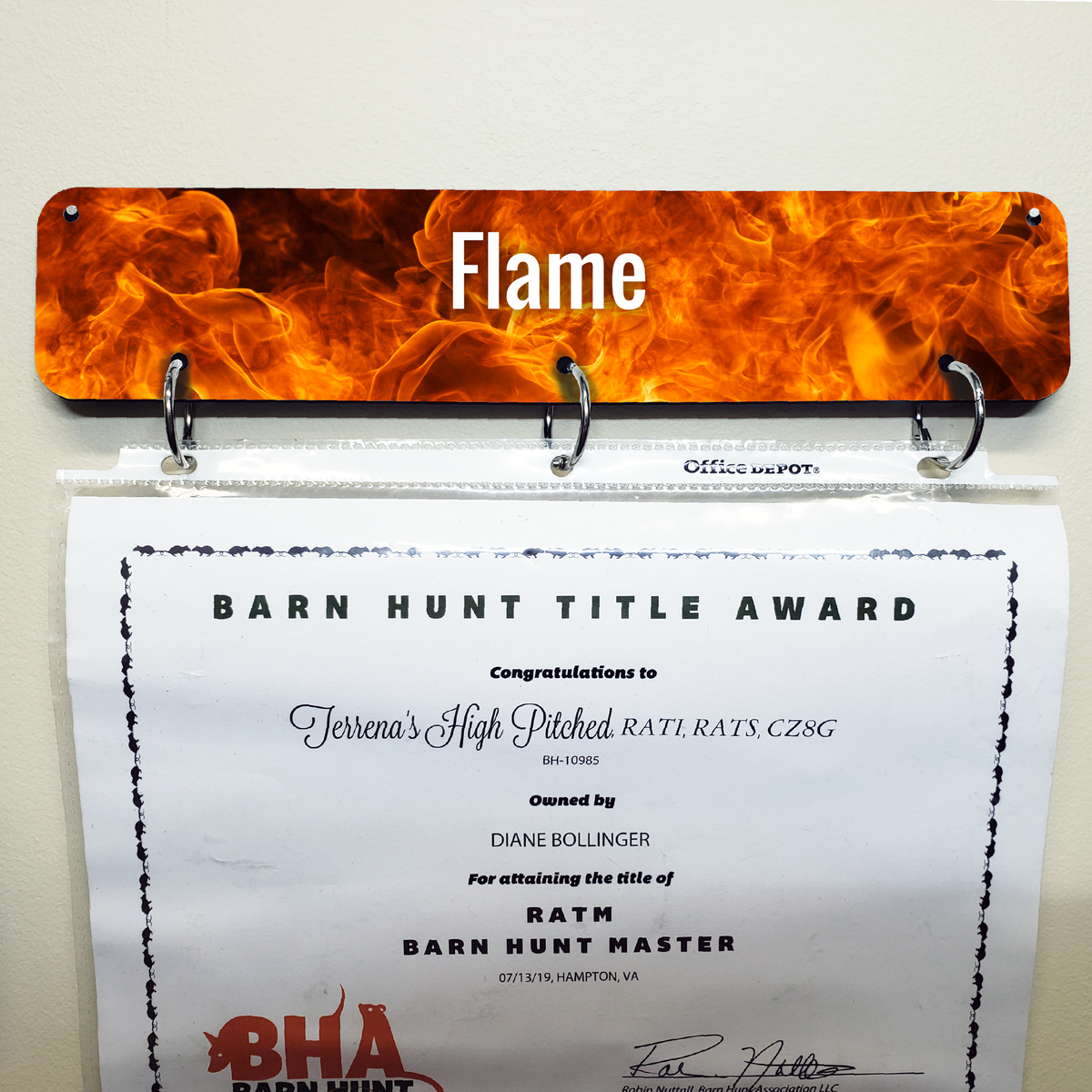 Flame - Certificate Display – Squeaky Egg Shop