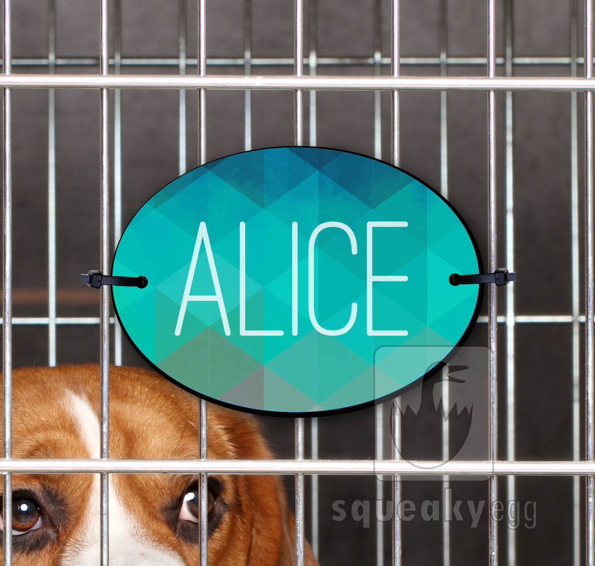 Alice - Crate Tag – Squeaky Egg Shop
