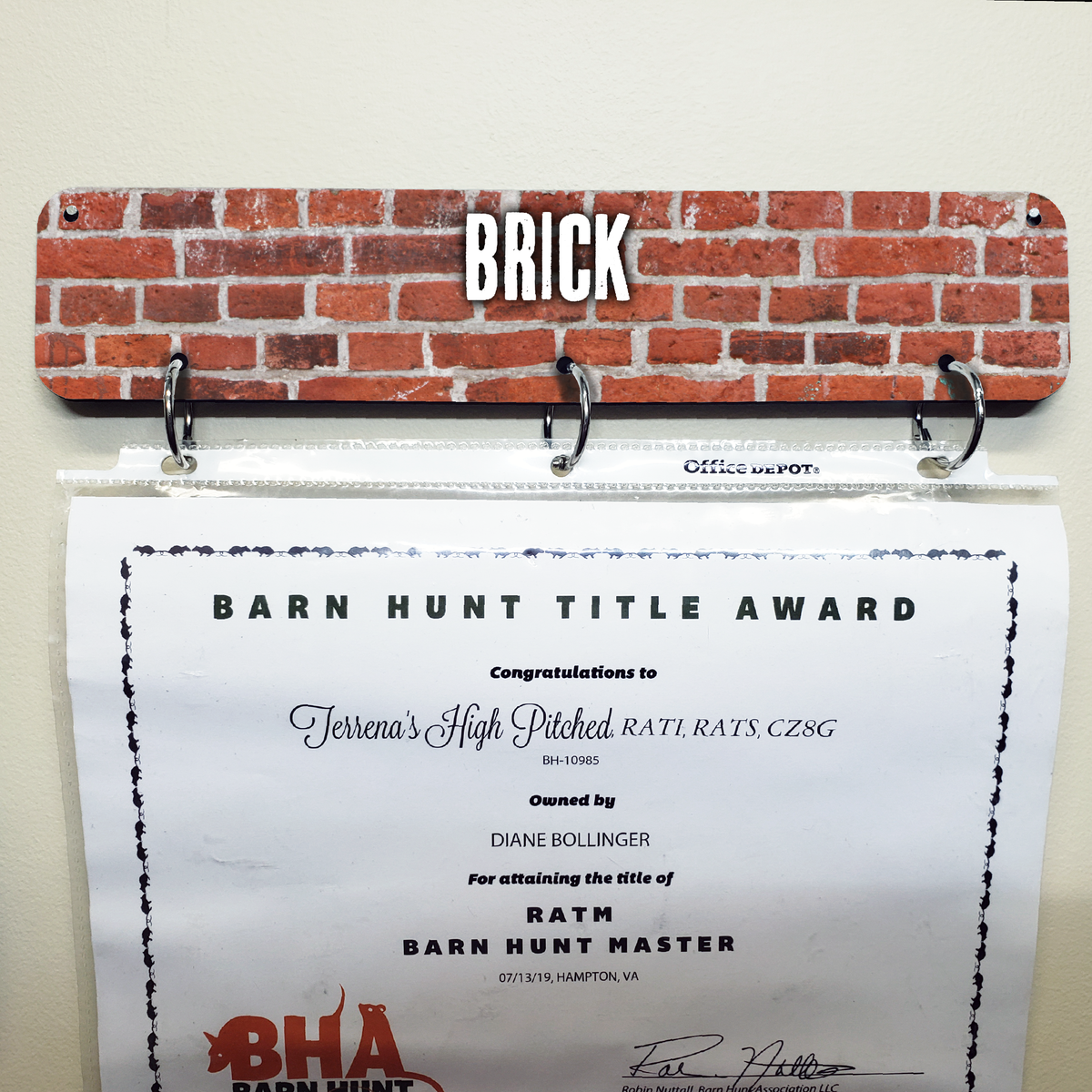 Brick - Certificate Display – Squeaky Egg Shop