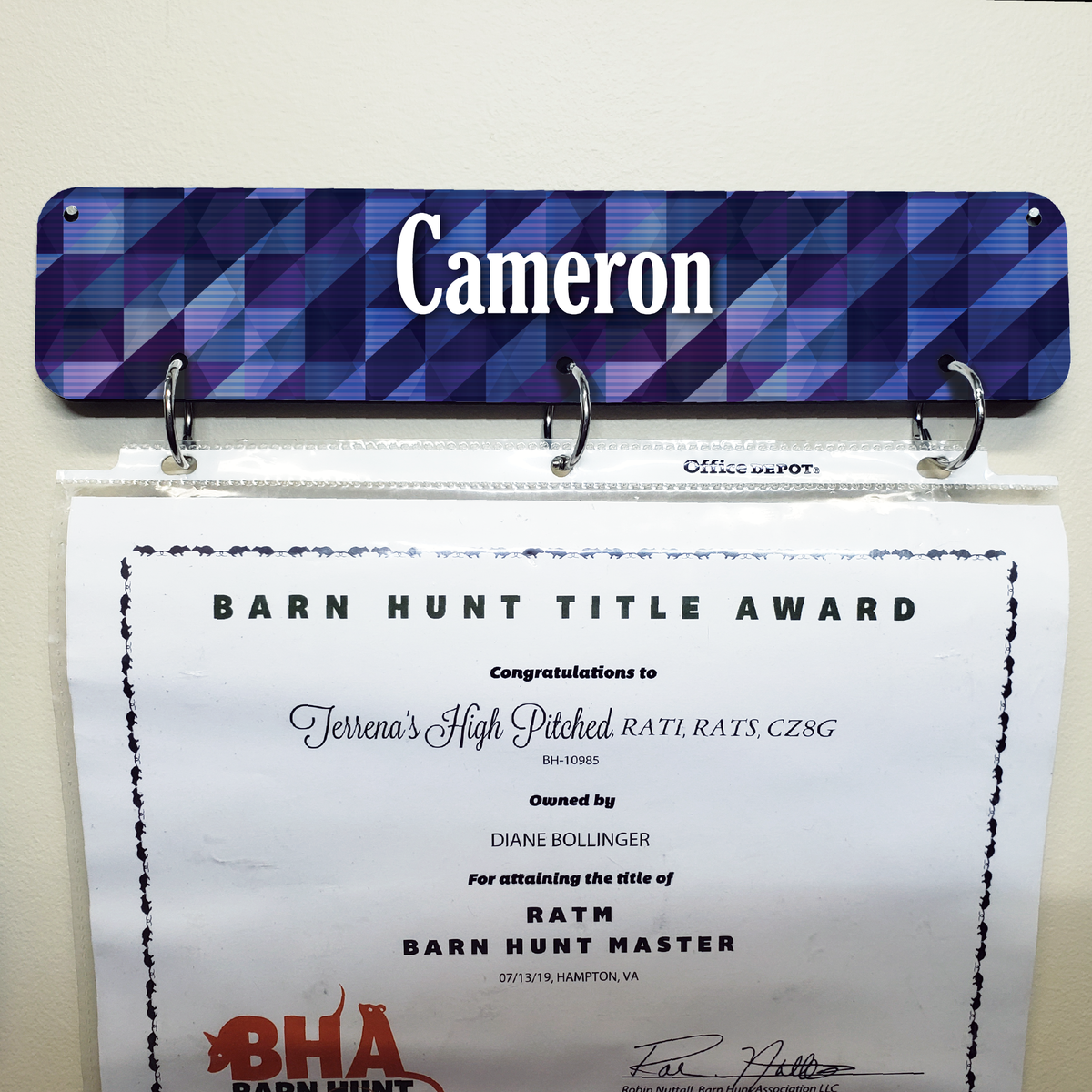 Cameron - Certificate Display – Squeaky Egg Shop