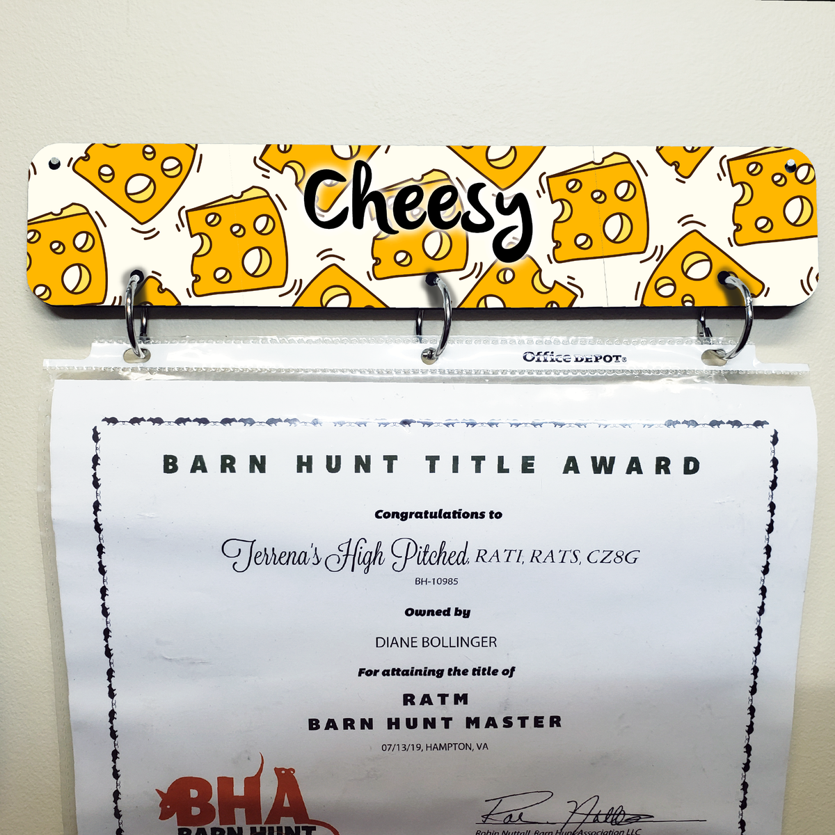 Cheesy - Certificate Display – Squeaky Egg Shop