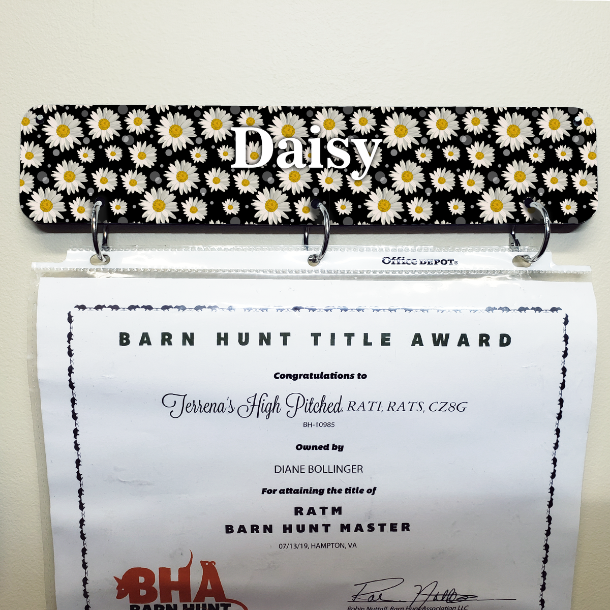 Daisy - Certificate Display – Squeaky Egg Shop