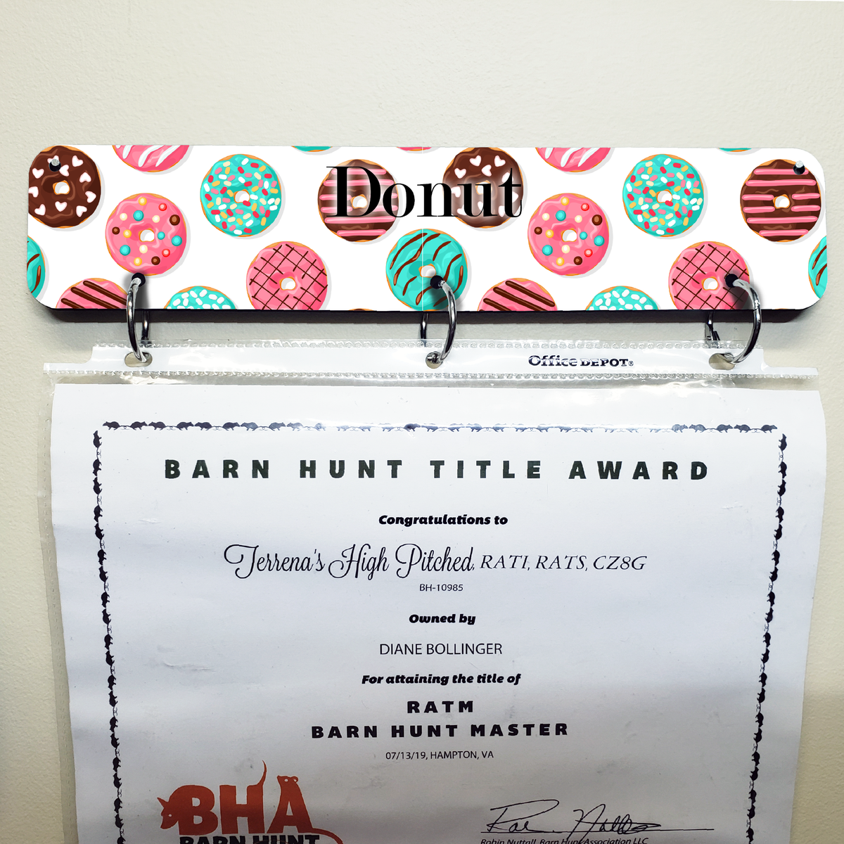 Donut - Certificate Display – Squeaky Egg Shop