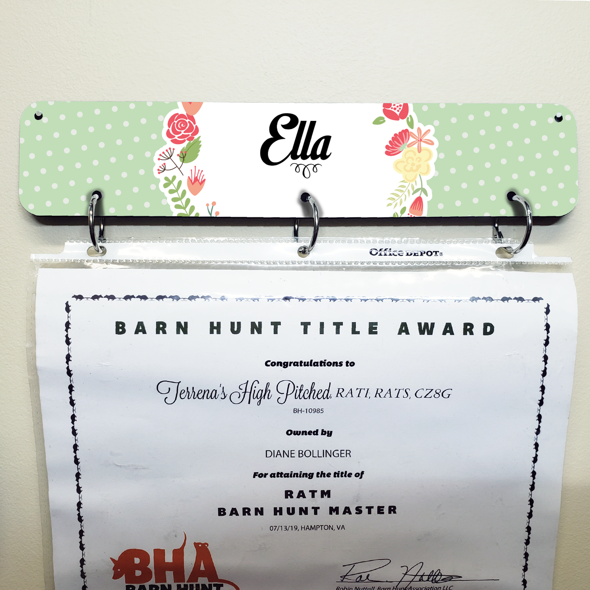 Ella - Certificate Display – Squeaky Egg Shop