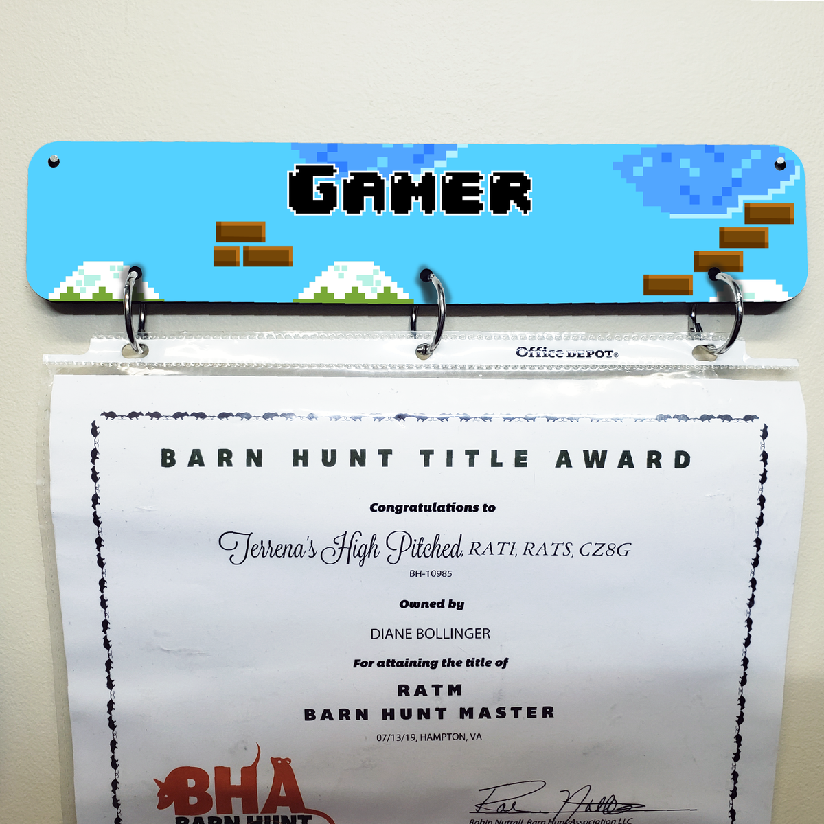 Gamer - Certificate Display – Squeaky Egg Shop