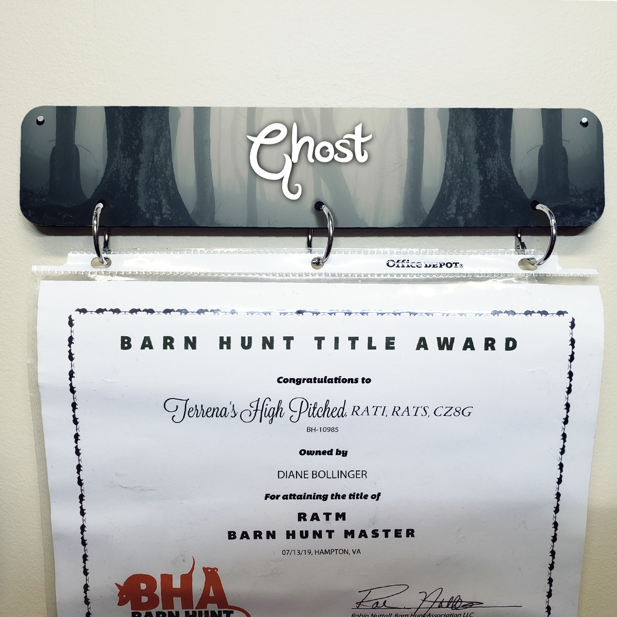 Ghost - Certificate Display – Squeaky Egg Shop