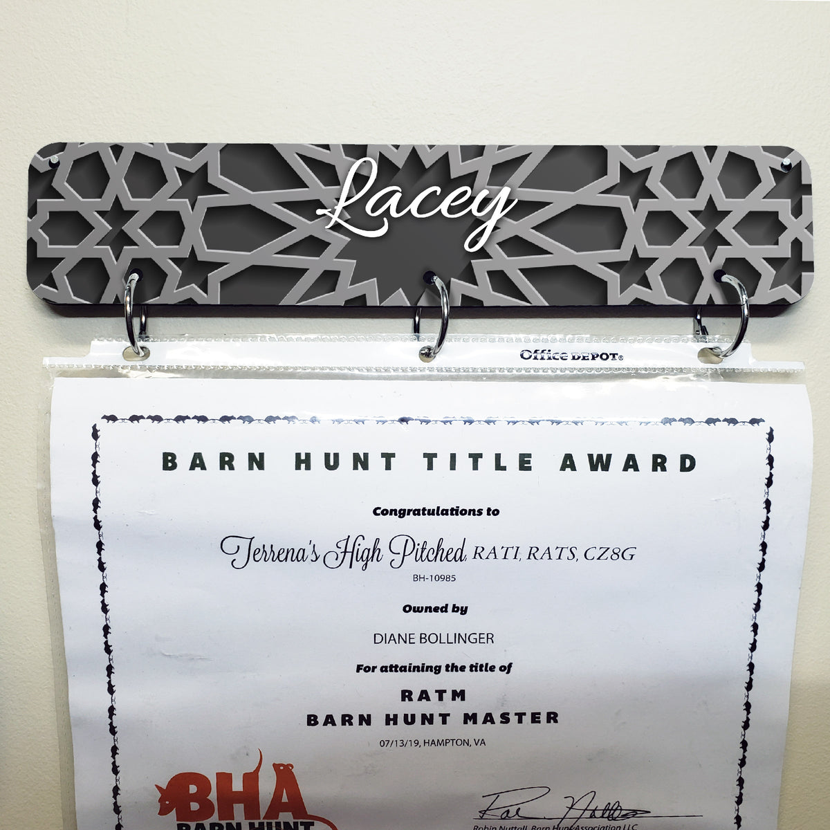 Lacey - Certificate Display – Squeaky Egg Shop