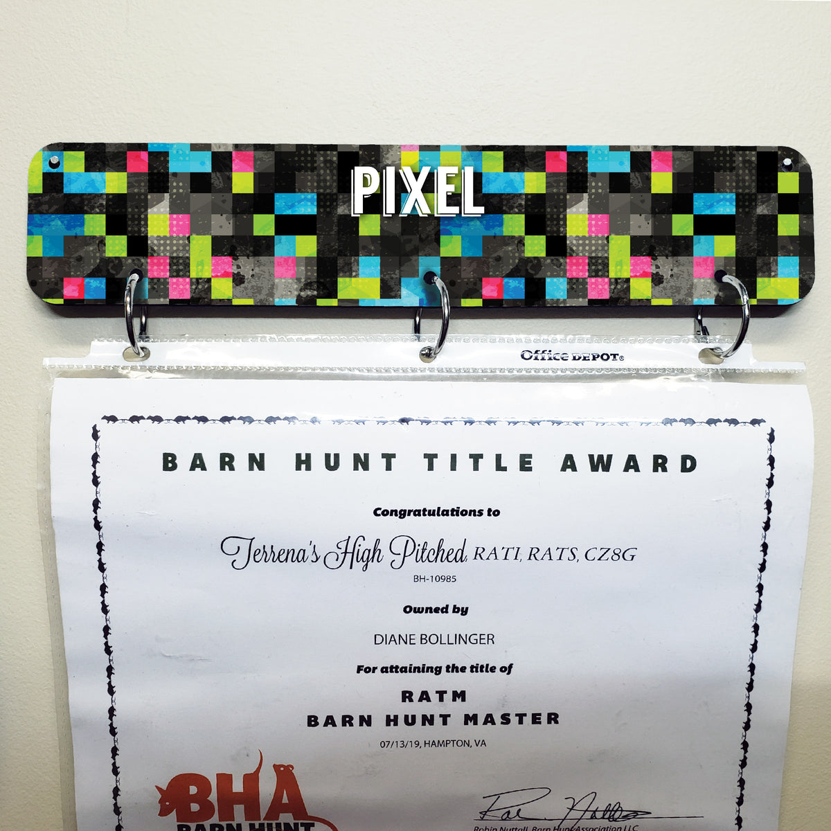 Pixel - Certificate Display – Squeaky Egg Shop