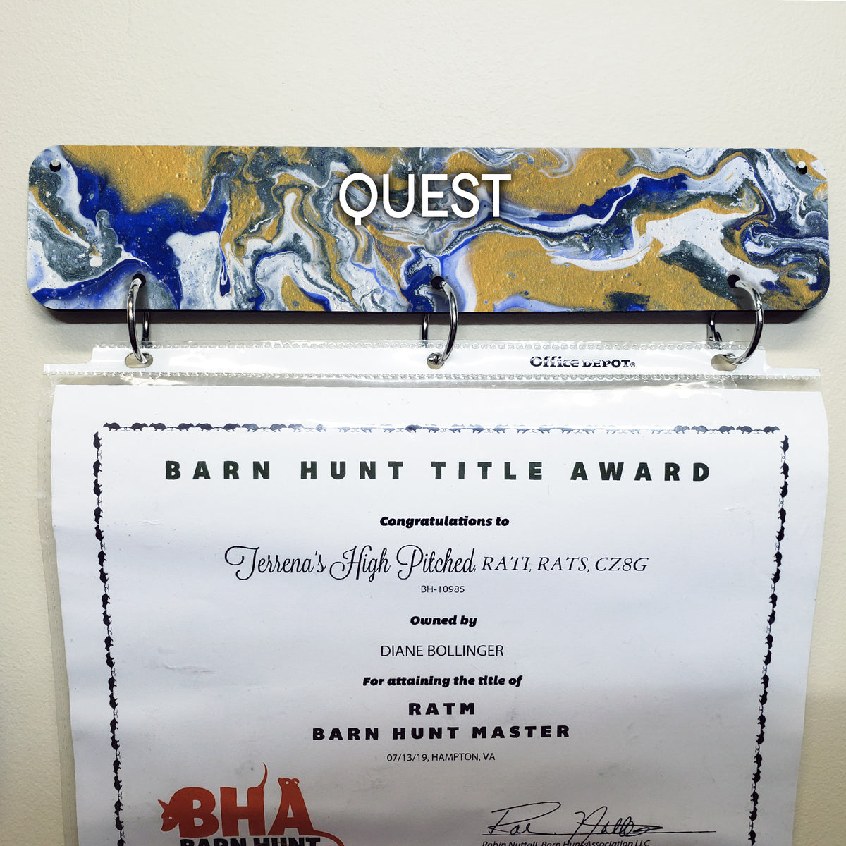 Quest - Certificate Display – Squeaky Egg Shop