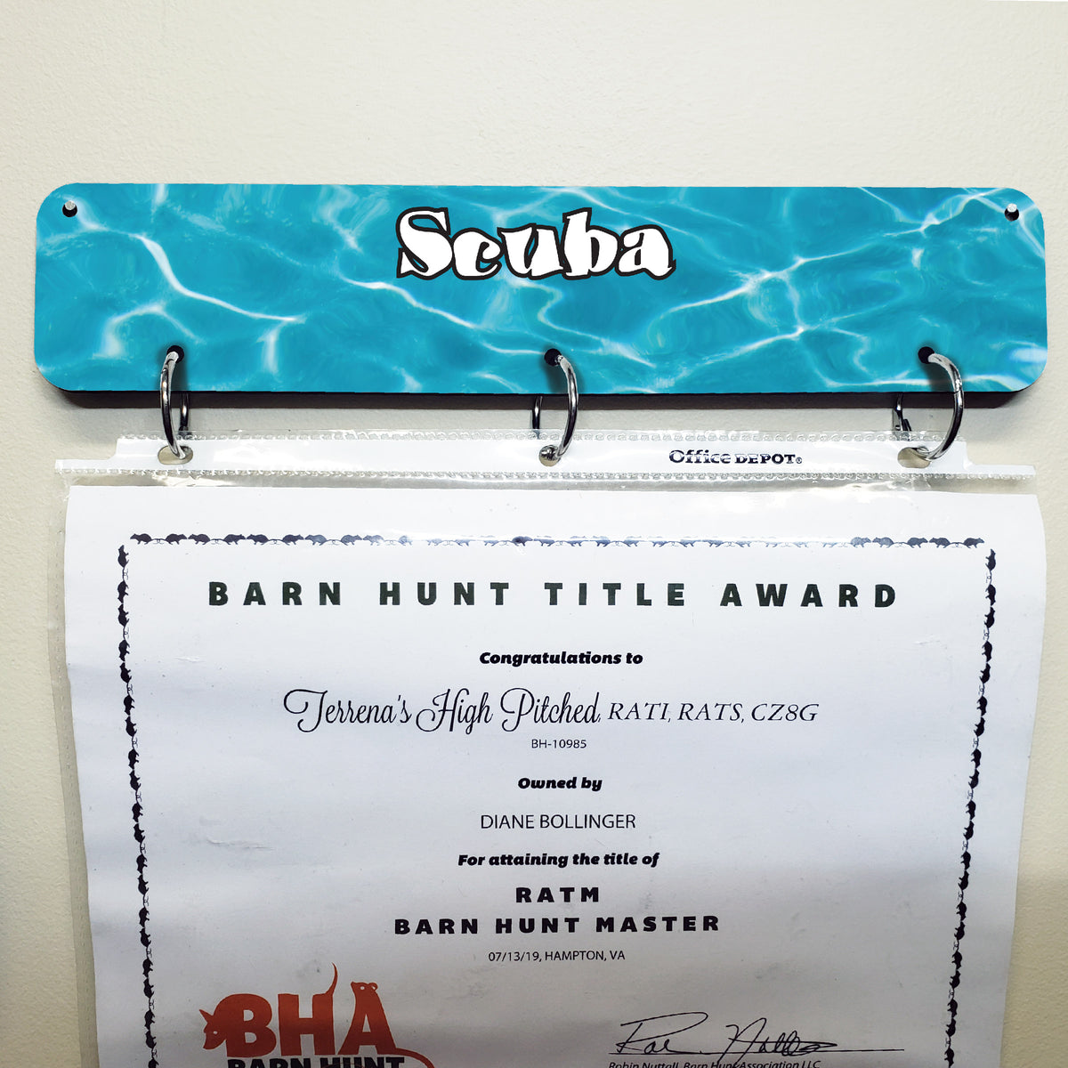 Scuba - Certificate Display – Squeaky Egg Shop
