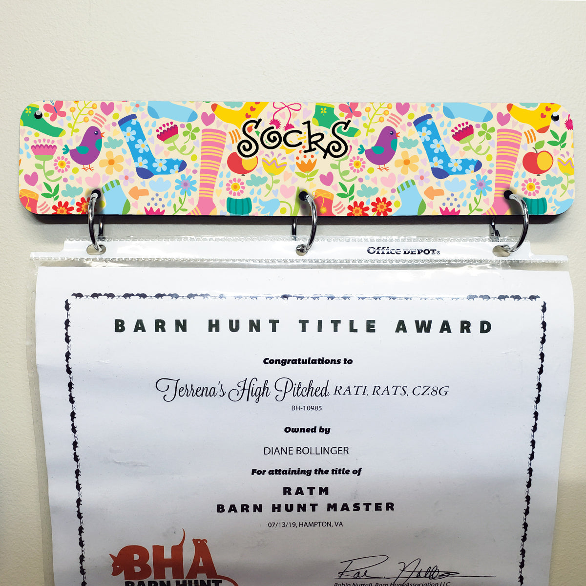 Socks - Certificate Display – Squeaky Egg Shop