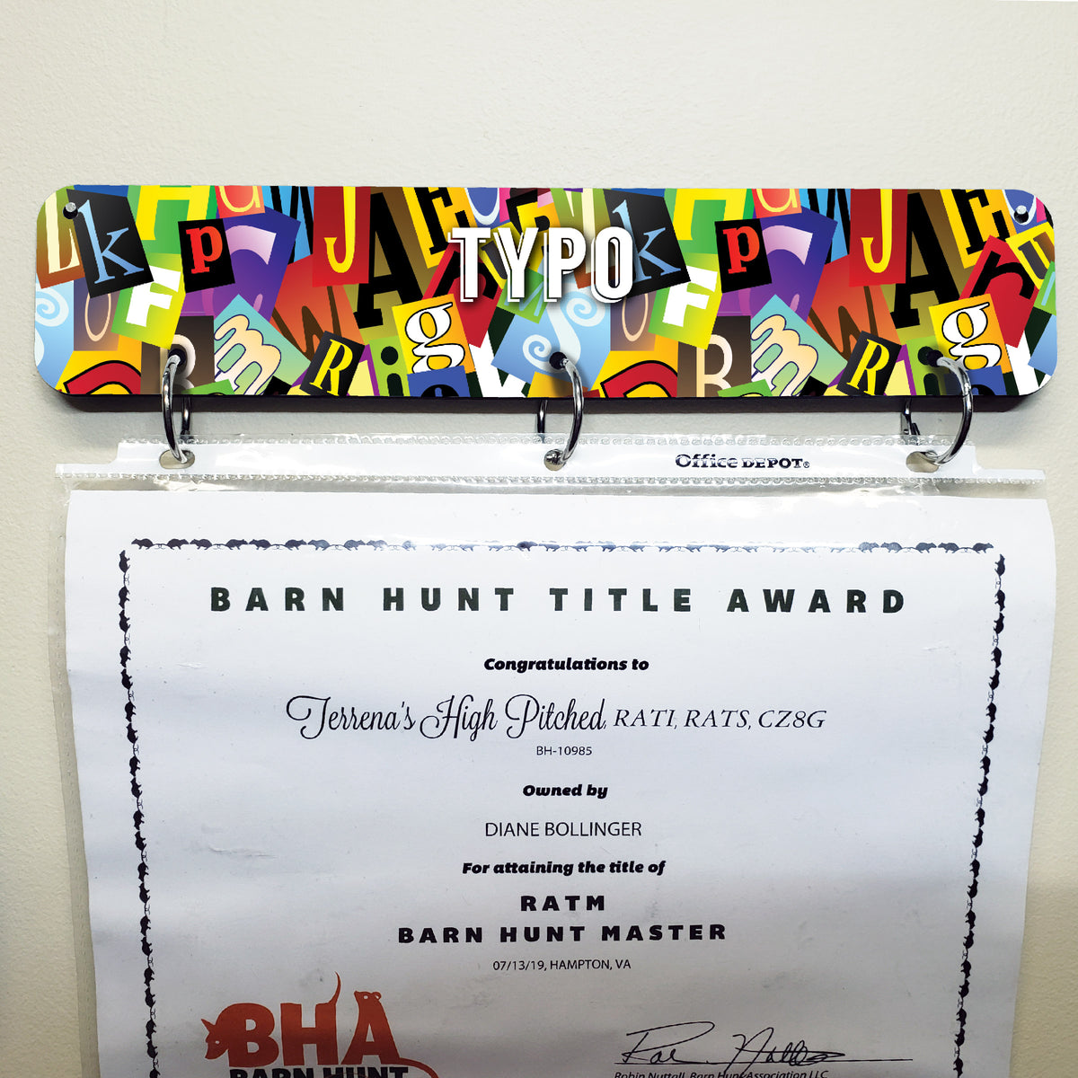 Typo - Certificate Display – Squeaky Egg Shop