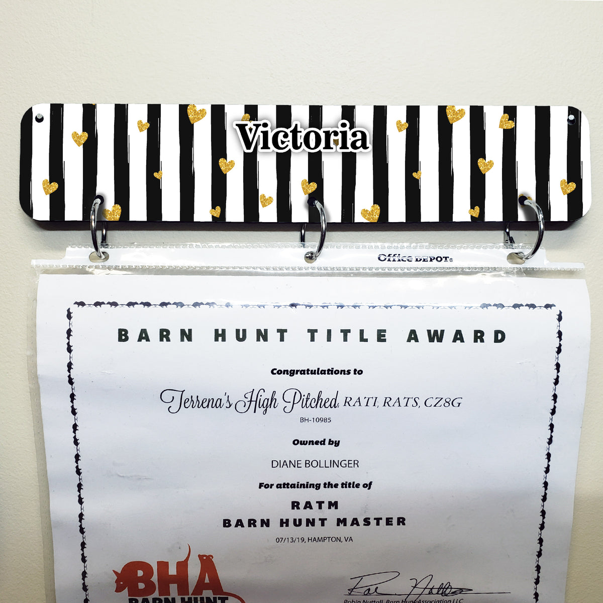 Victoria - Certificate Display – Squeaky Egg Shop